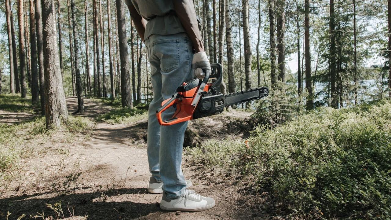 How to Choose a Chainsaw: A Complete Beginner's Guide ...